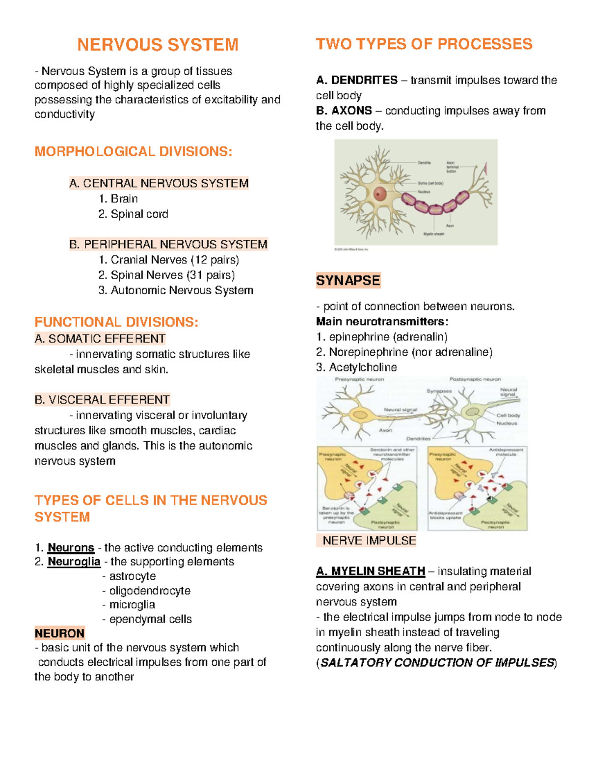 Anatomy & Physiology- Nervous System- Comprehensive Review Guide - Studocu