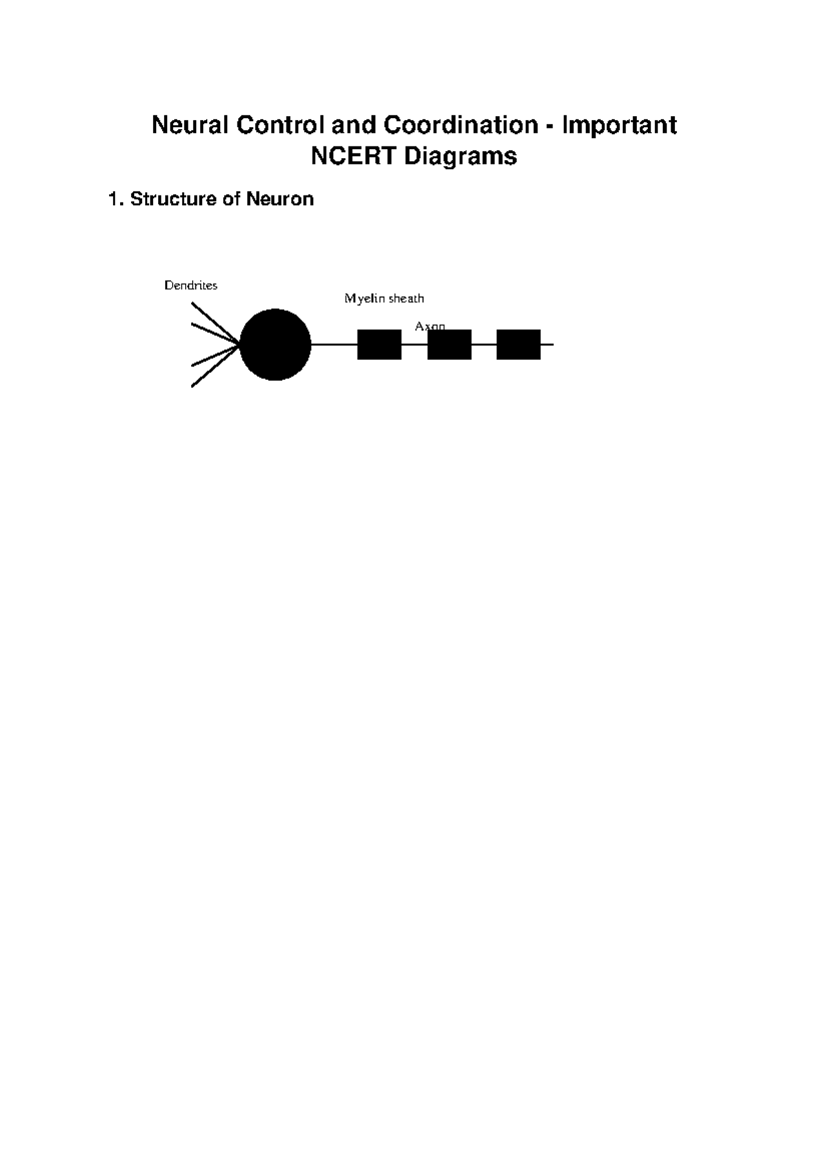 Neural Control Important Diagrams - neet biology - Neural Control and ...