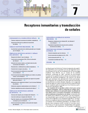 Esquema de cascada del complemento - Universidad Veracruzana Facultad ...