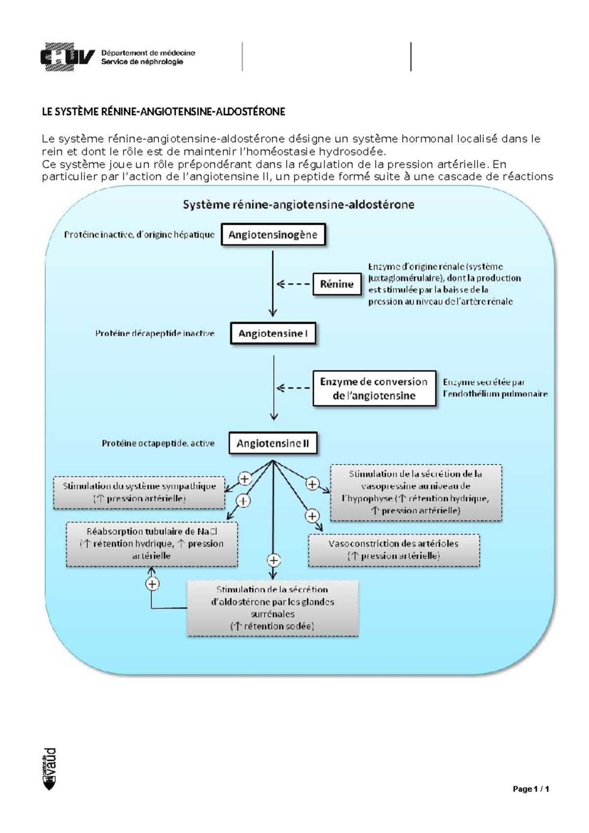 Nep systeme renine angiotensine aldosterone - Soins infirmiers de base ...