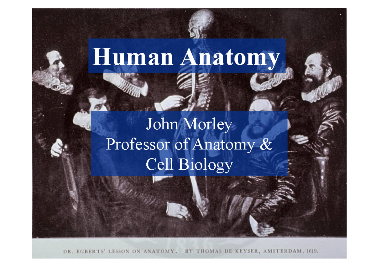 YR1 Lecture 1H - Anatomy of the Human Body - Week 1 Sem 1 - Human ...