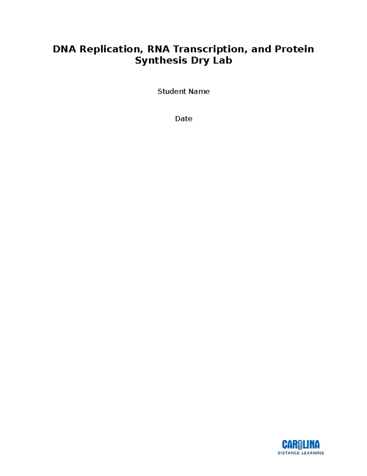DNA RNA Protein Synthesis Student Submission Template - DNA Replication ...
