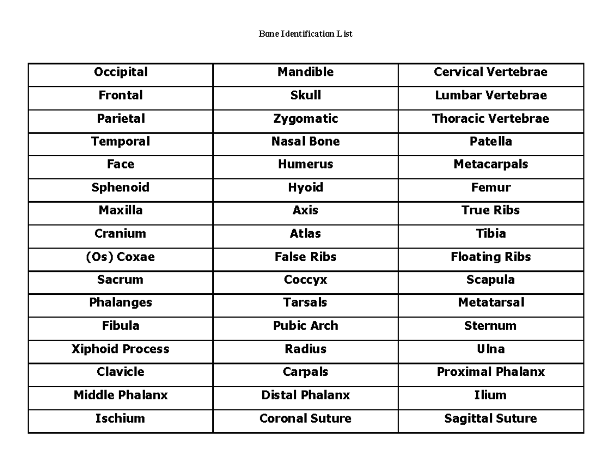 Bone Identification List for Anatomy Classes - Bone Identification List ...