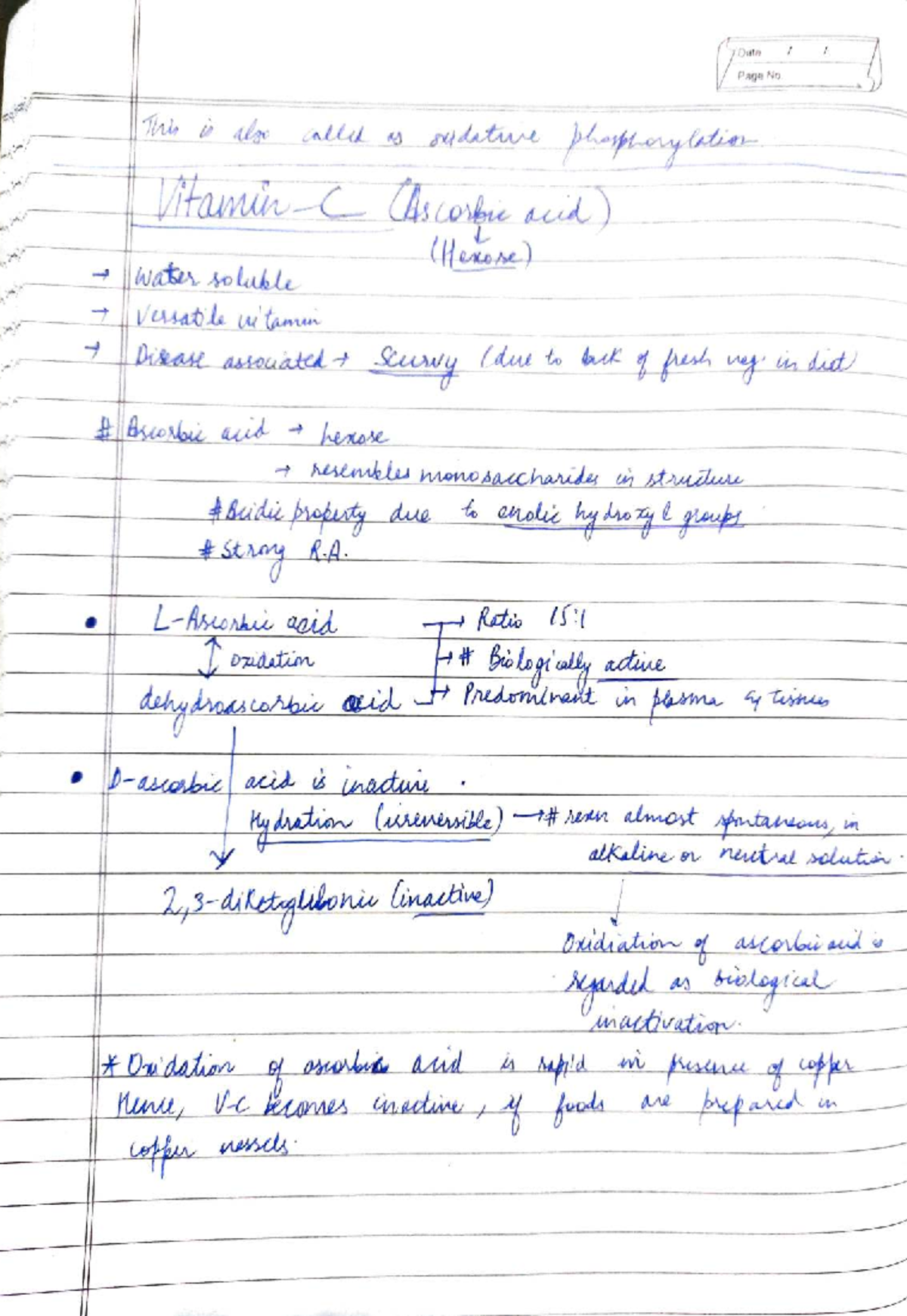 Vitamins Notes Summary - Essential Insights for Study - Studocu
