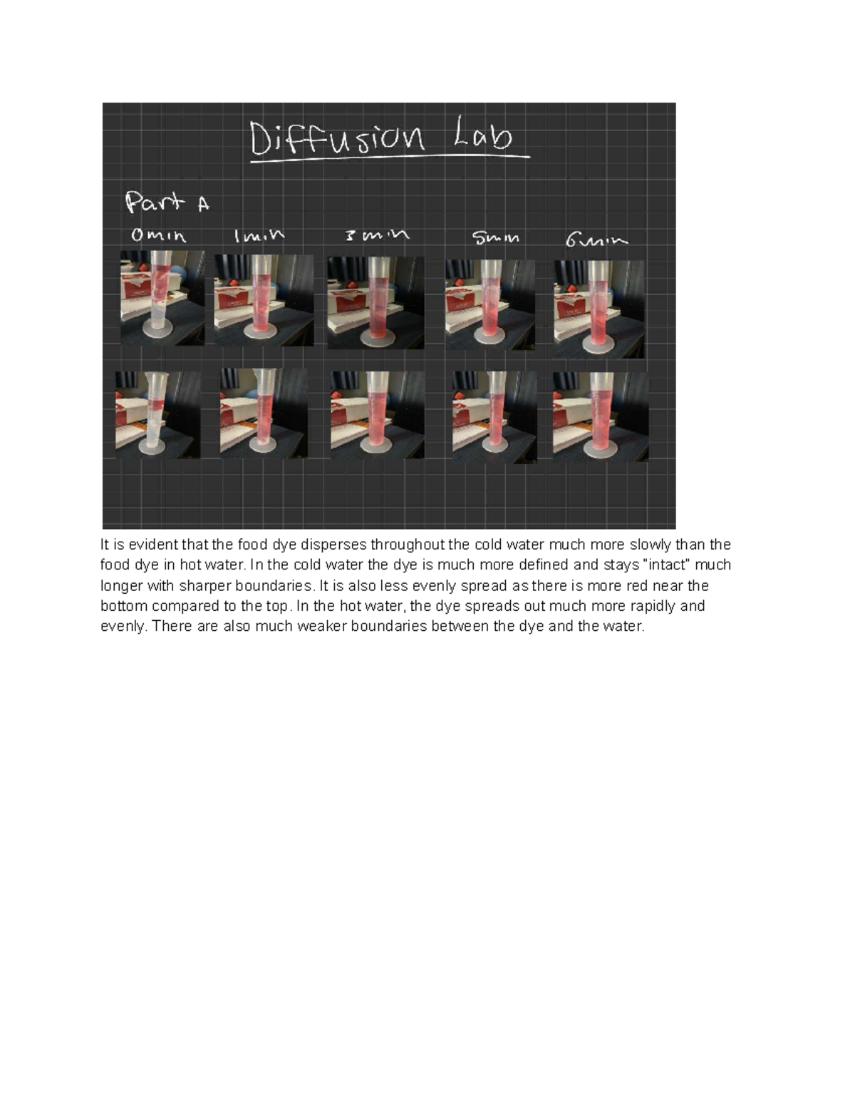 Diffusion Lab PHYS - Phys*1080 - It is evident that the food dye ...
