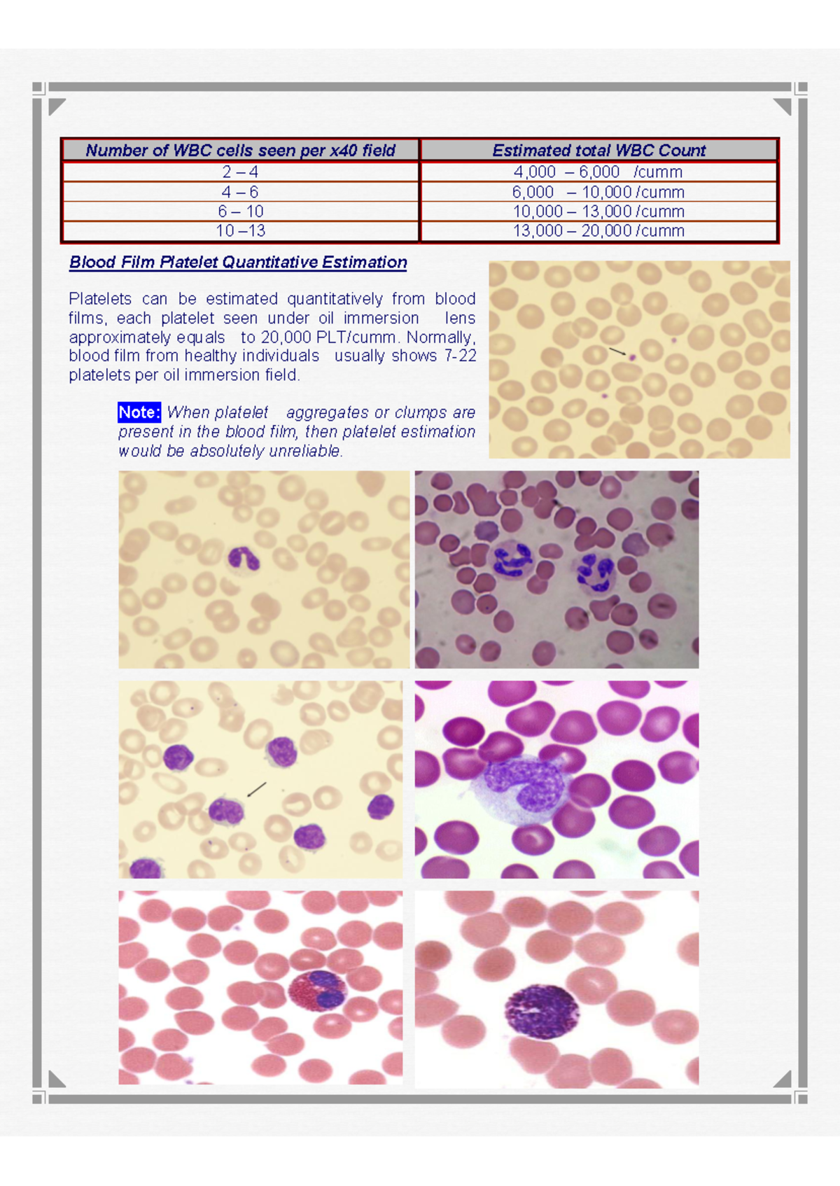 Lab dec - Lab dec - Number of WBC cells seen per x40 field Estimated ...