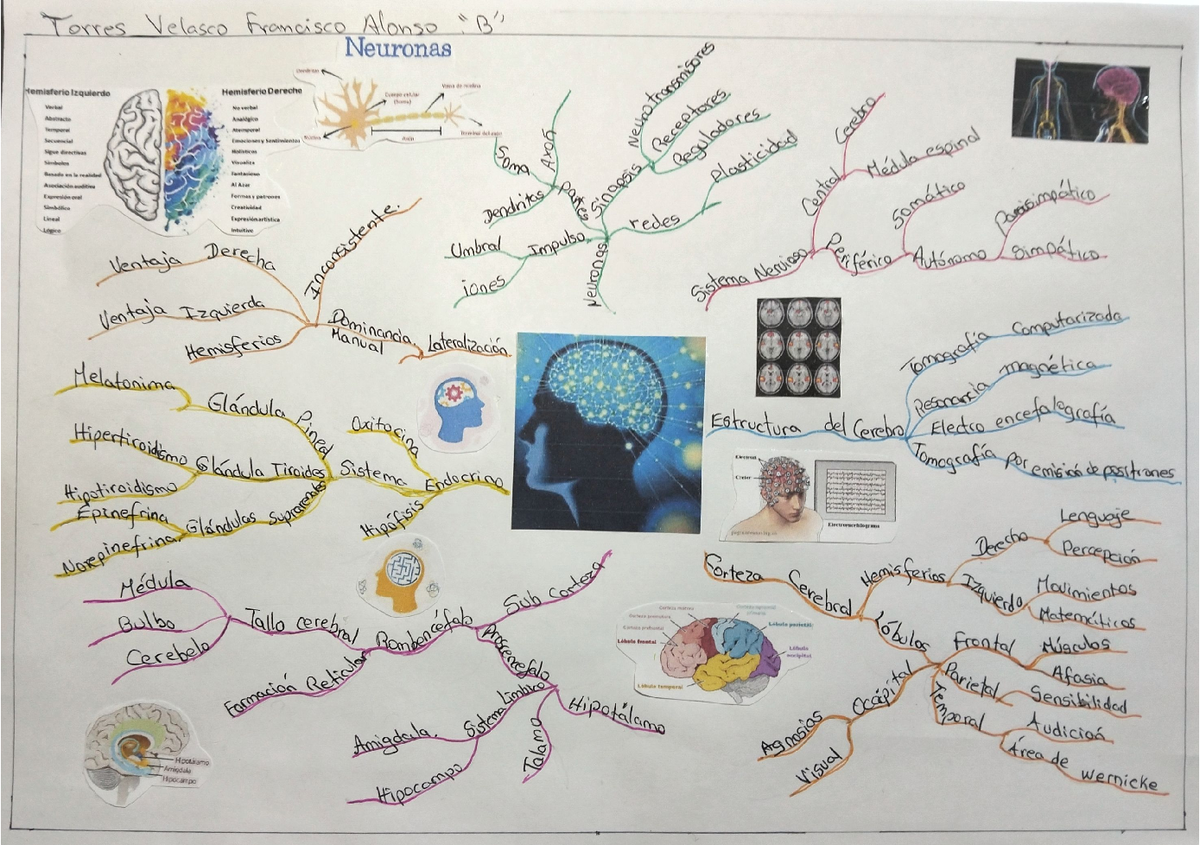Mapa cap 2 - mapa - Torres Velasco Francisco Alonso Neuronas Dendritas ...