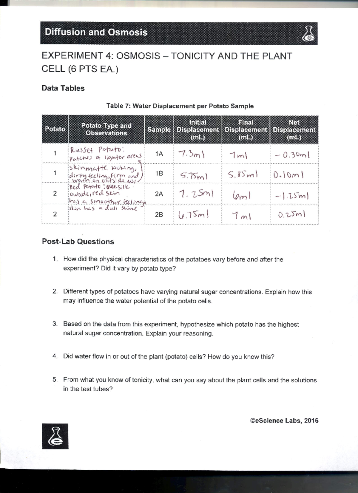 Lab Activity 4: Diffusion and Osmosis - Diffusion and Osmosis ...