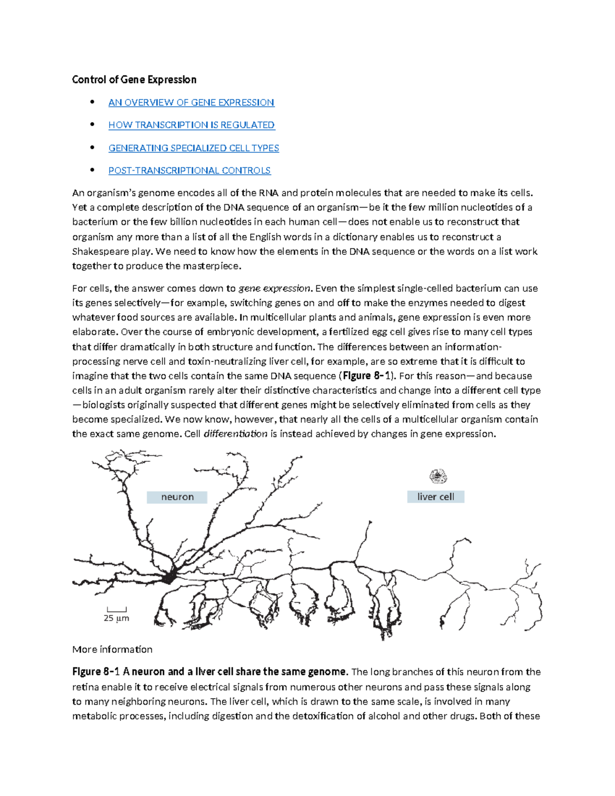 Gene Expression Regulation in Drosophila: The Role of Even-Skipped (Eve ...