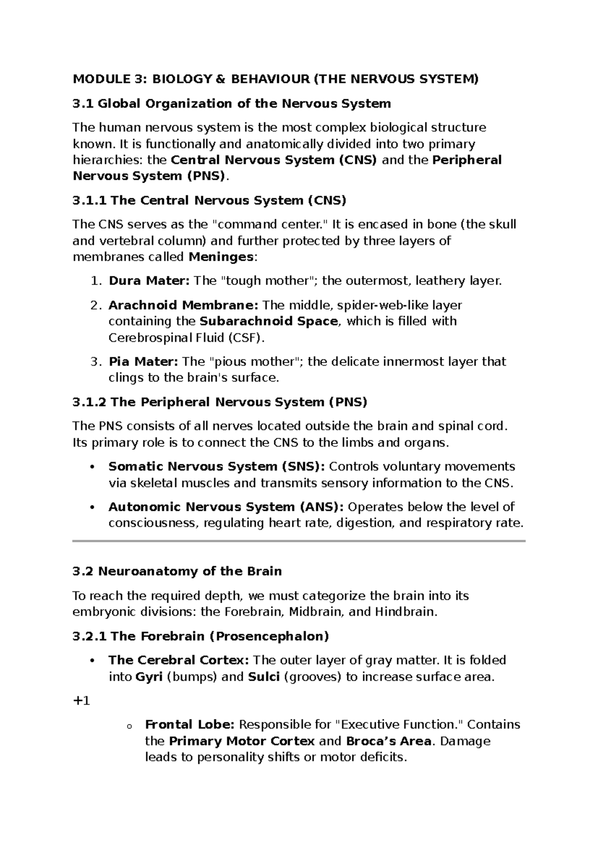 Module 3: Nervous System Overview - Physio Sem 2 - Studocu