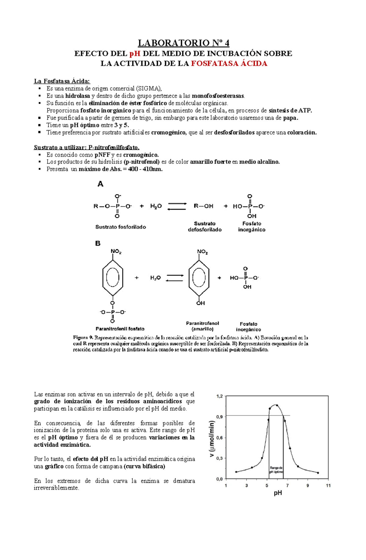 LAB Teórico-Práctico RA1: Observaciones sobre Reinos Fungi, Monera y Protista - Studocu