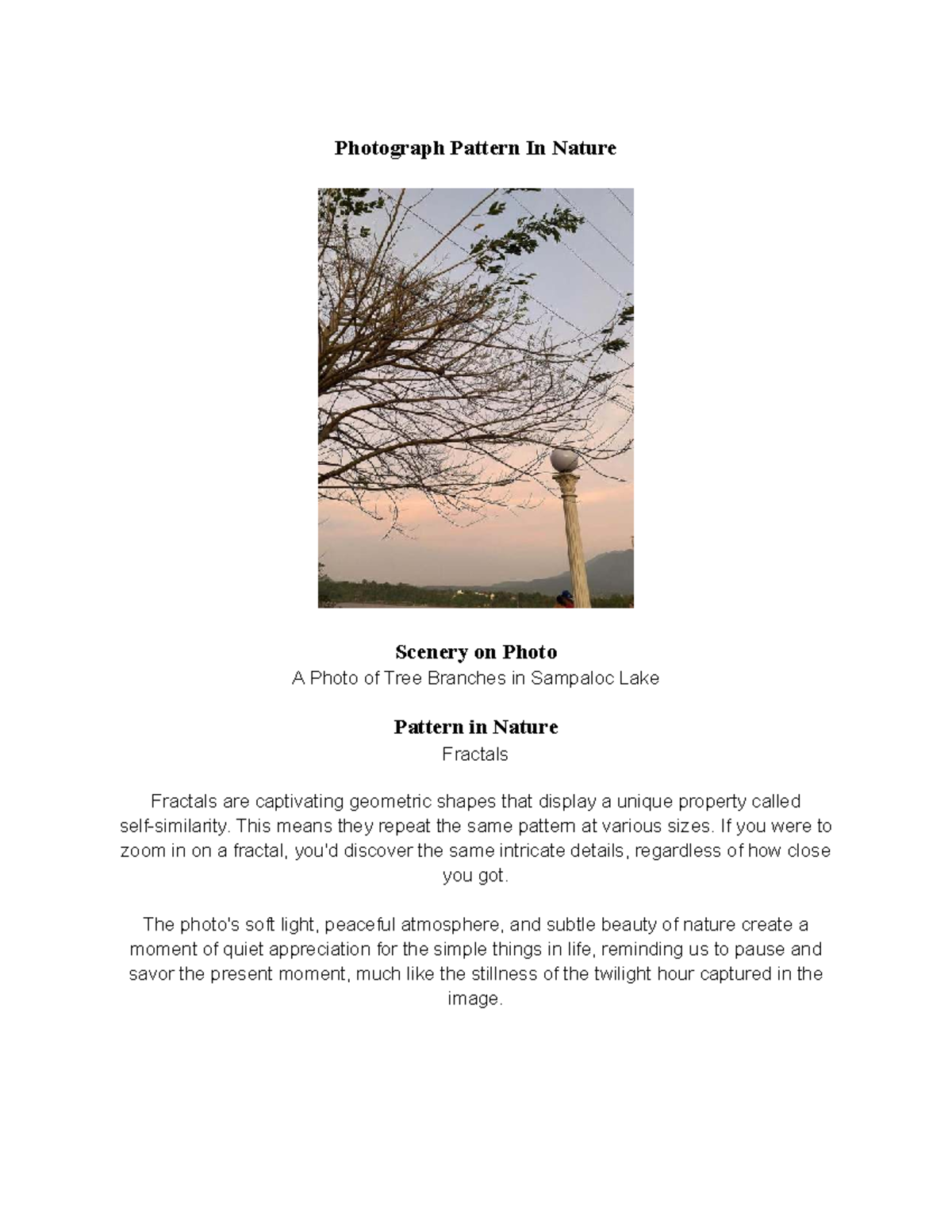 Photograph pattern in nature: fractals and tranquility in scenery - Studocu