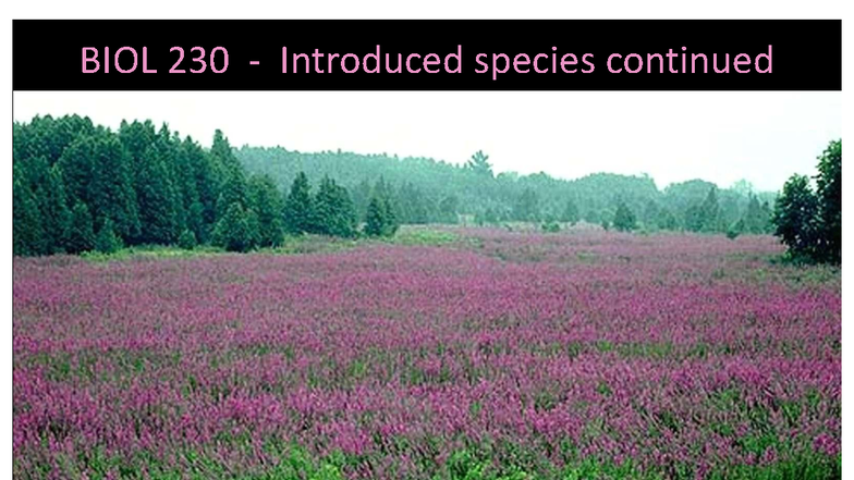BIOL 230 Final Exam Review: Introduced Species & Biodiversity - Studocu