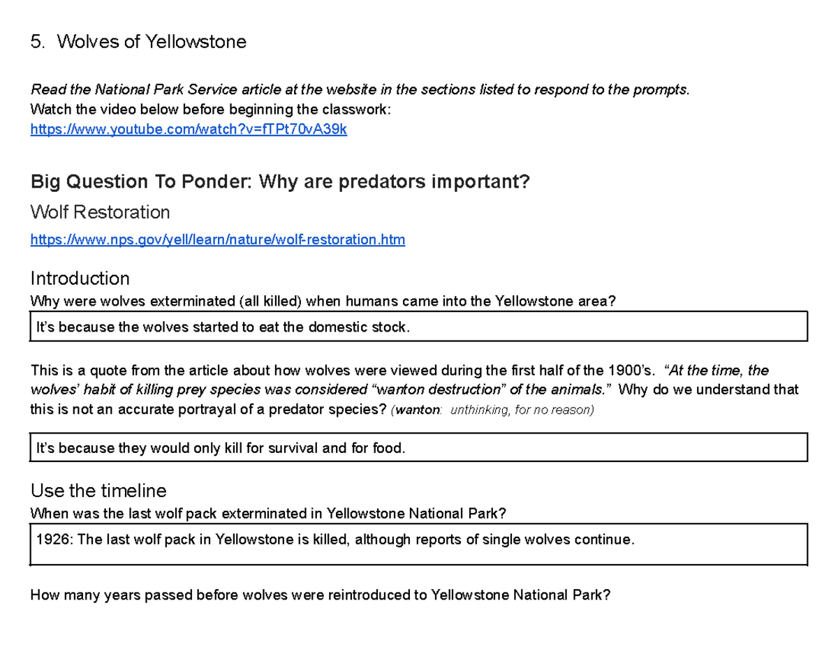 Wolves of Yellowstone: Understanding Predator Importance and ...