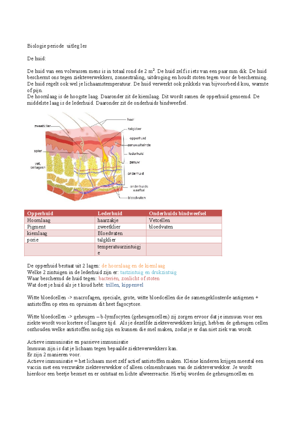 Biologie Les: Functies van de Huid en Bloed (Periode 3) - Studeersnel