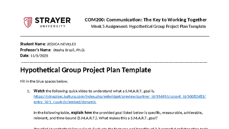 Week 5 Assignment - Hypothetical Group Project Plan Template - COM200 ...