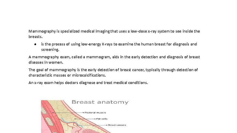 Mammo 1: Understanding Breast Anatomy and Mammography Techniques - Studocu
