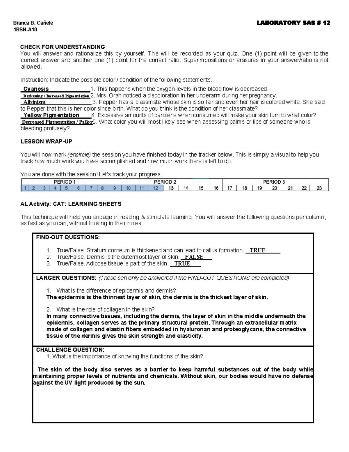 Lab SAS #12- Cañete, Bianca,B - Bianca B. Cañete LABORATORY SAS # 12 ...