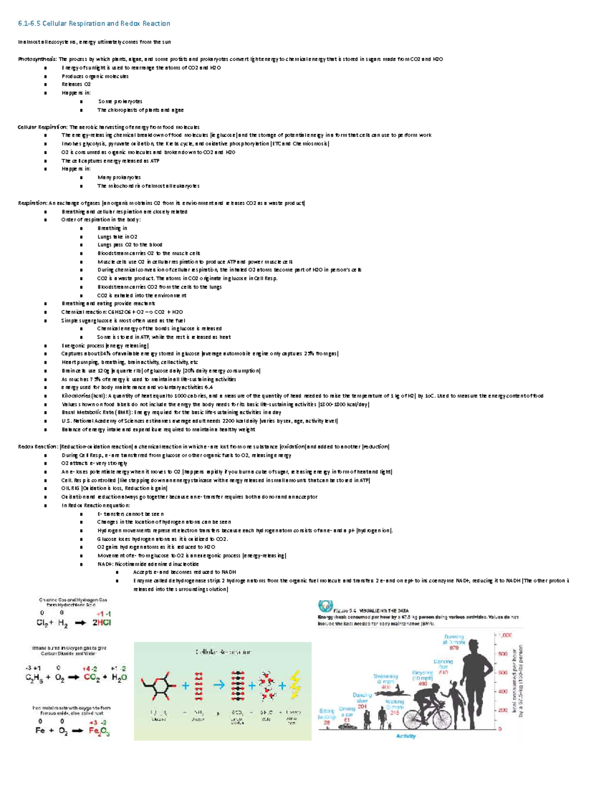 Biology 101: Cellular Respiration and Photosynthesis Overview - Studocu