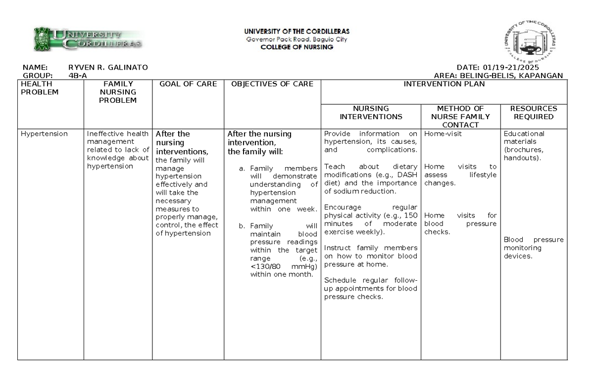 FNCP Template: Family Nursing Care Plan for Hypertension & Safety ...