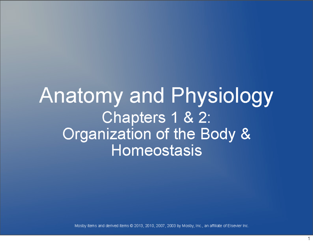 Anatomy and Physiology (AP101) Overview: Body Organization ...