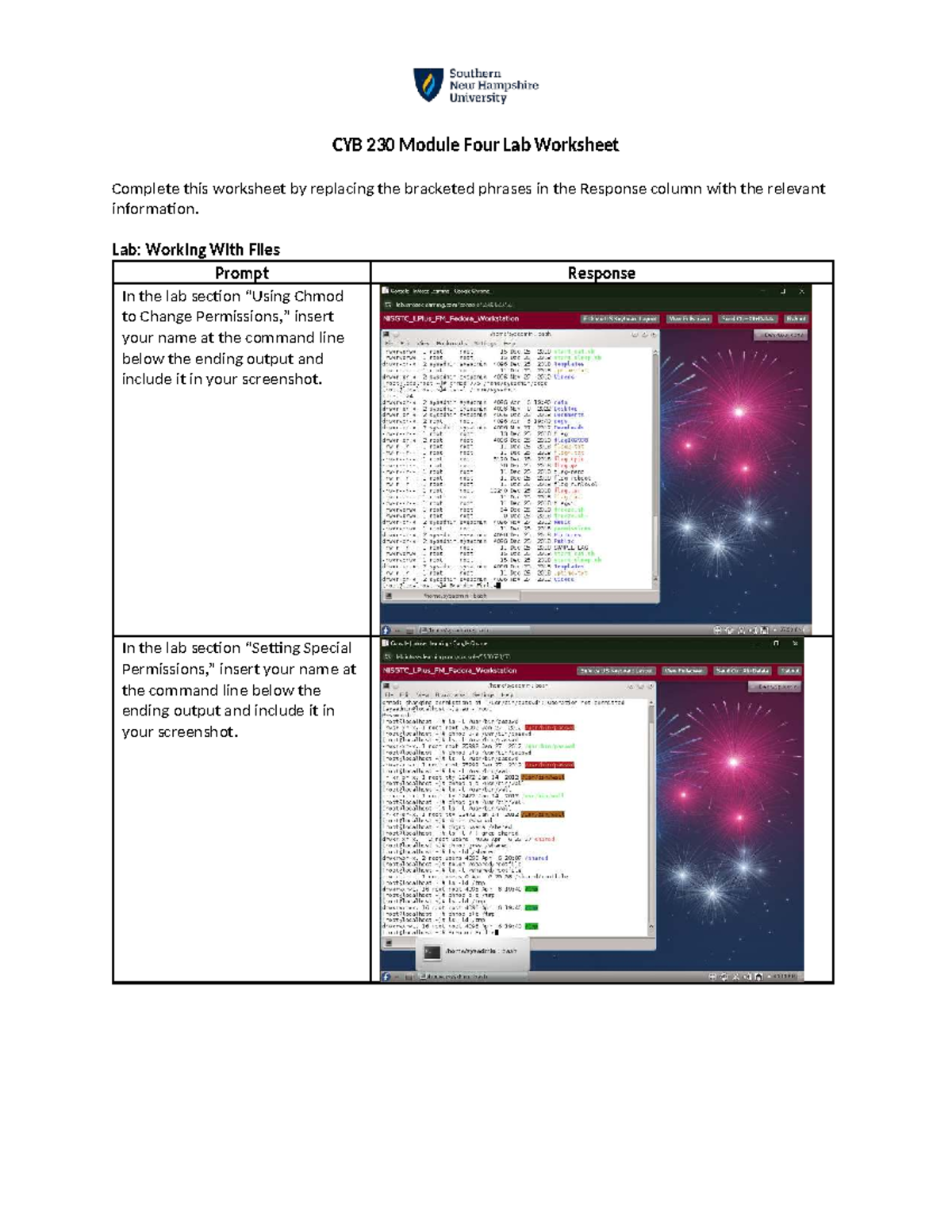 CYB 230 Module Four Lab Worksheet Brandon Firlie - CYB 230 Module Four ...
