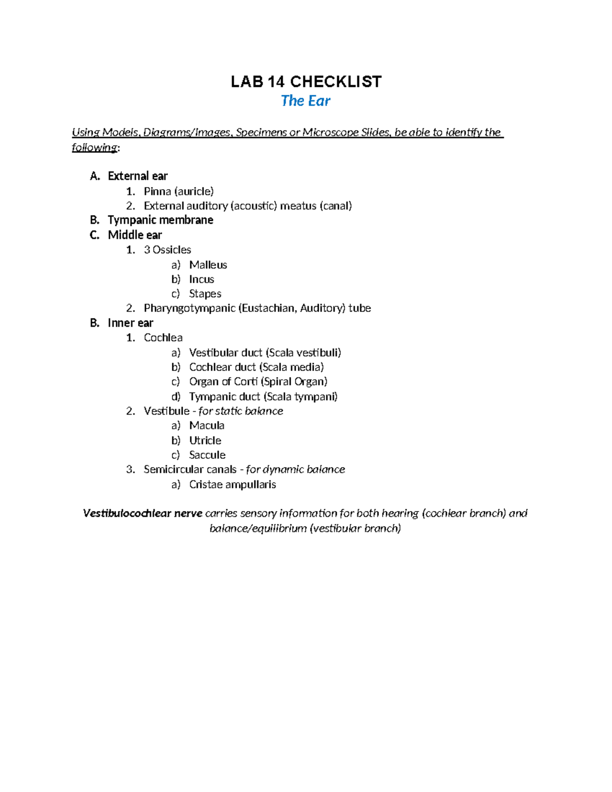LAB 14 Checklist: Identifying Ear Structures Using Models & Slides ...