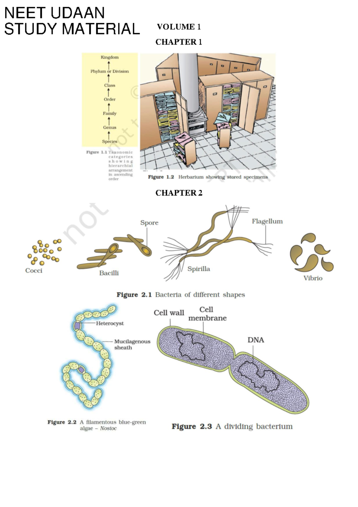 Ncert diagram pdf - Physics class 11 JEE & NEET practice materials ...