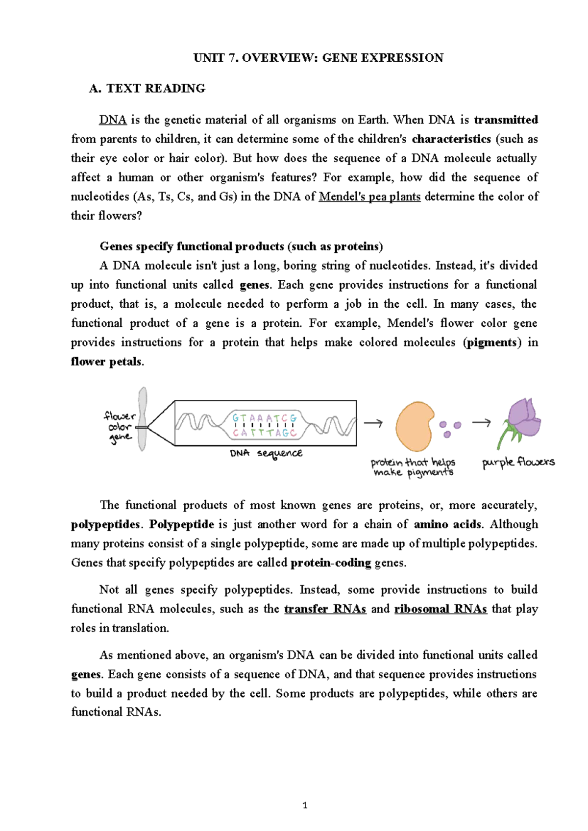 Unit 7: Overview of Gene Expression and the Central Dogma - Studocu