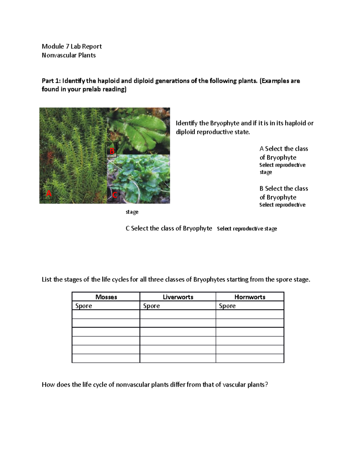 Module 7 Lab Report: Exploring Nonvascular Plants and Bryophytes - Studocu
