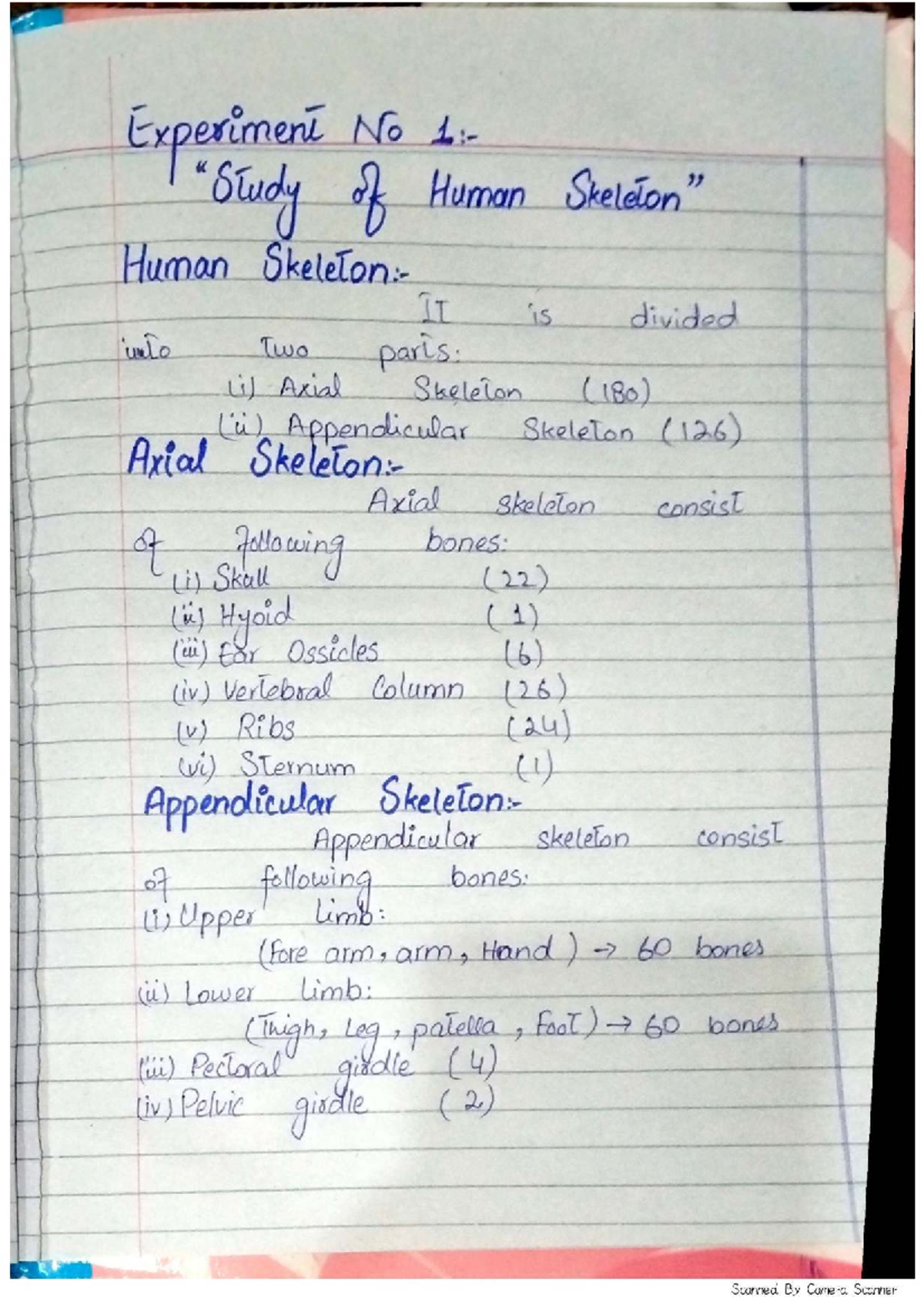 Anatomy & Physiology Practical: Blood Pressure & Clotting Experiments ...