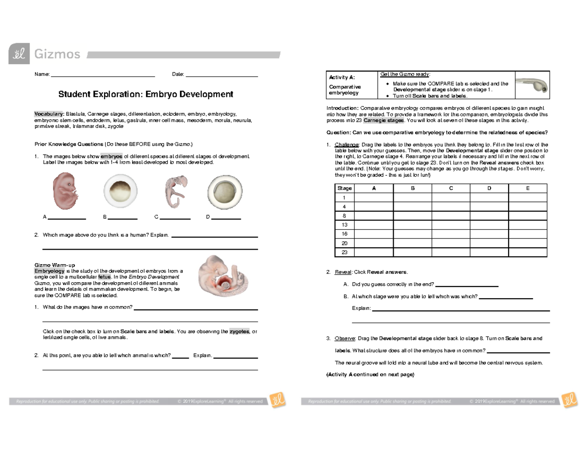 Embryology Study: Gizmo Exploration on Embryo Development (P1-3) - Studocu