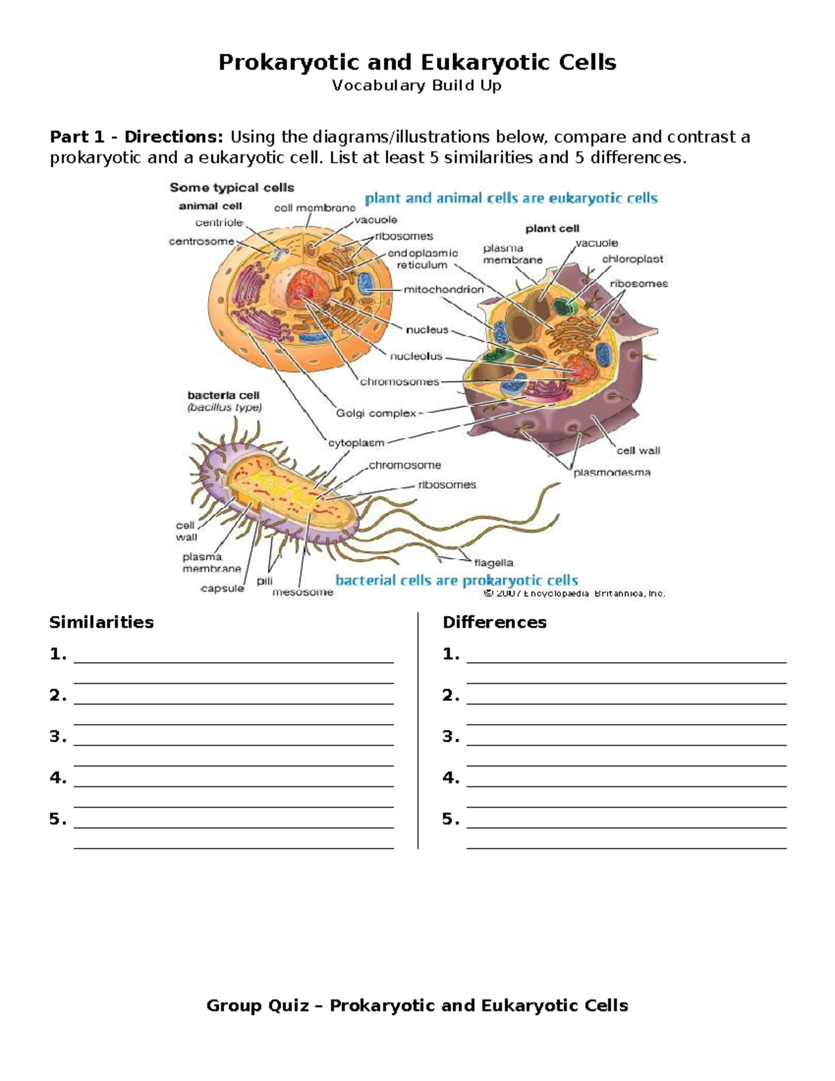 Group Quiz: Prokaryotic vs Eukaryotic Cells Vocabulary & Activity - Studocu