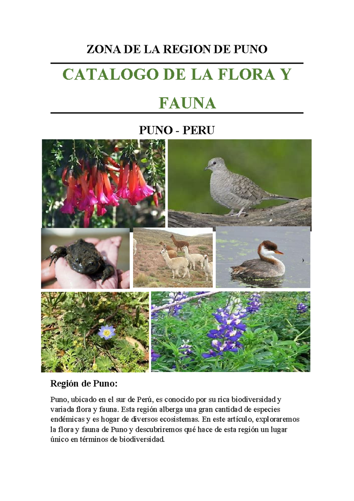 Catálogo de Flora y Fauna de la Región de Puno, Perú - Studocu