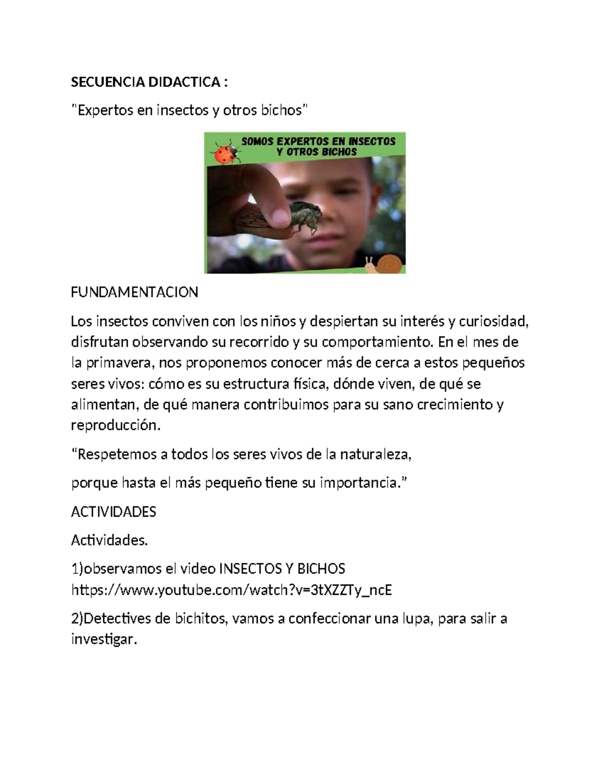 Actividad Didáctica: Conociendo Insectos y Bichos en Primavera - Studocu