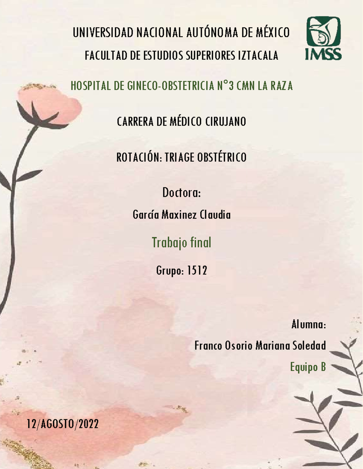 Operación Cesárea - Resumen sobre cesárea, qué es, tipos de cesáreas ...