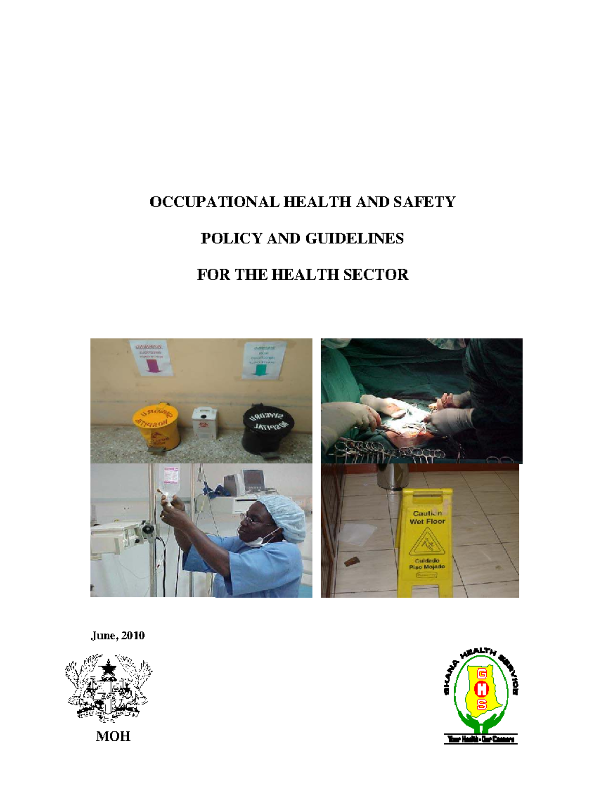 Occupational Health & Safety Policy Guidelines for the Health Sector ...