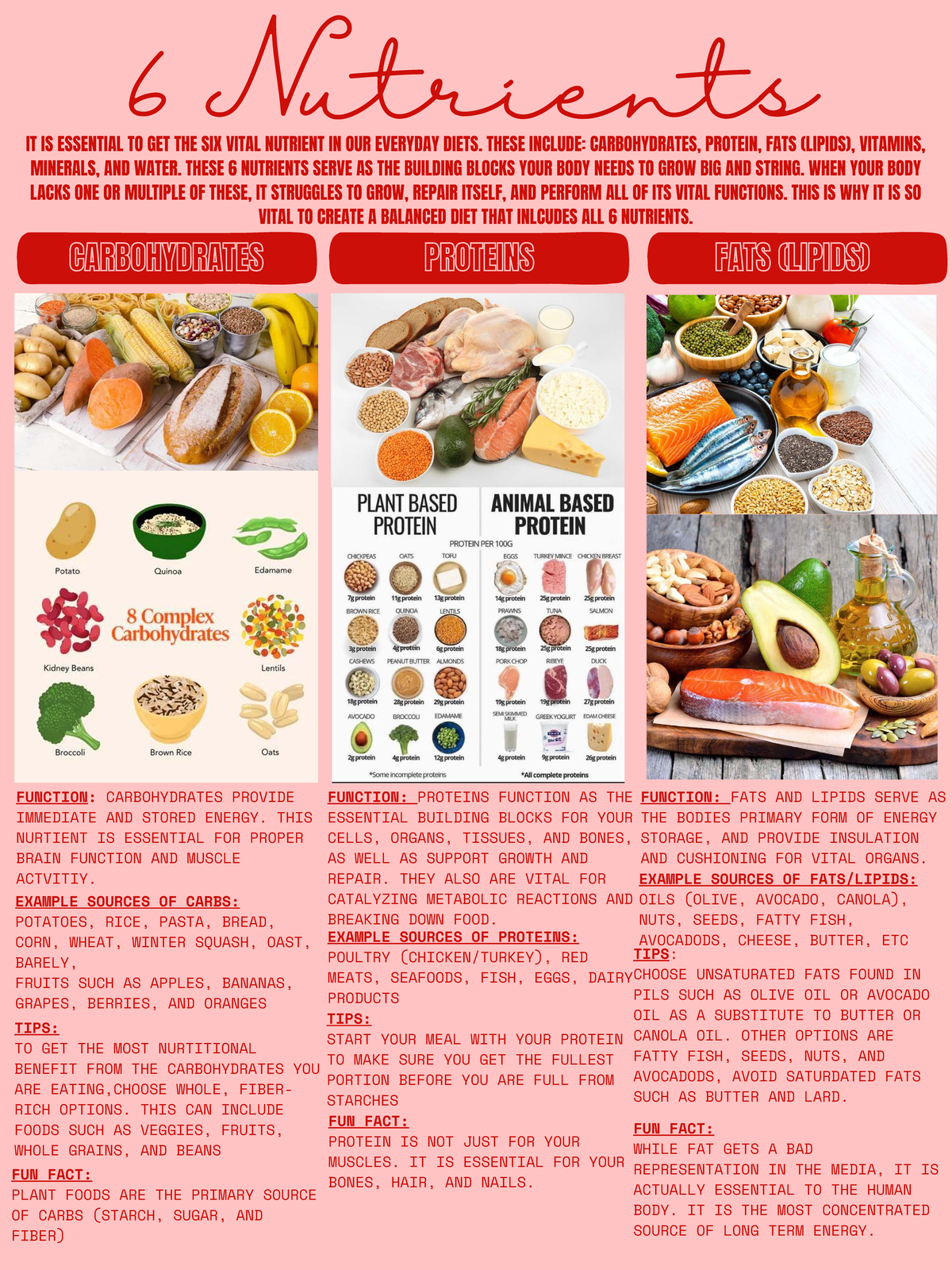 6 Essential Nutrients for a Balanced Diet - Studocu