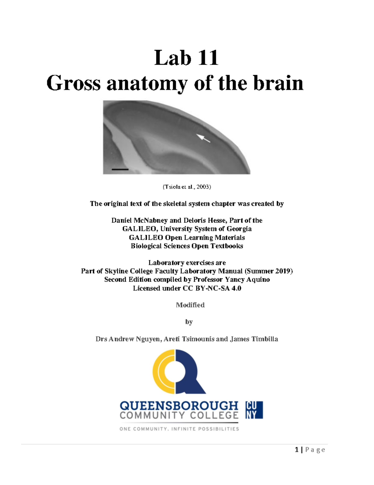 Lab 11: Final Exam Study Guide on Gross Anatomy of the Brain AT 2 - Studocu