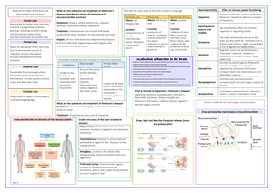 The Ultimate List of QCAA Cognitive Verbs That You Need To Know Art of ...