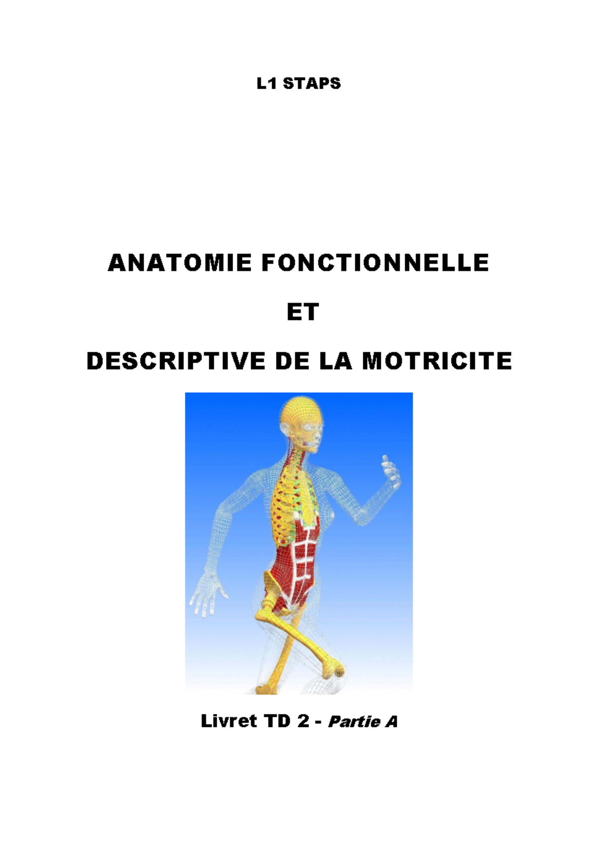 Analyse Fonctionnelle des Mouvements Musculaires - L1 STAPS - Studocu