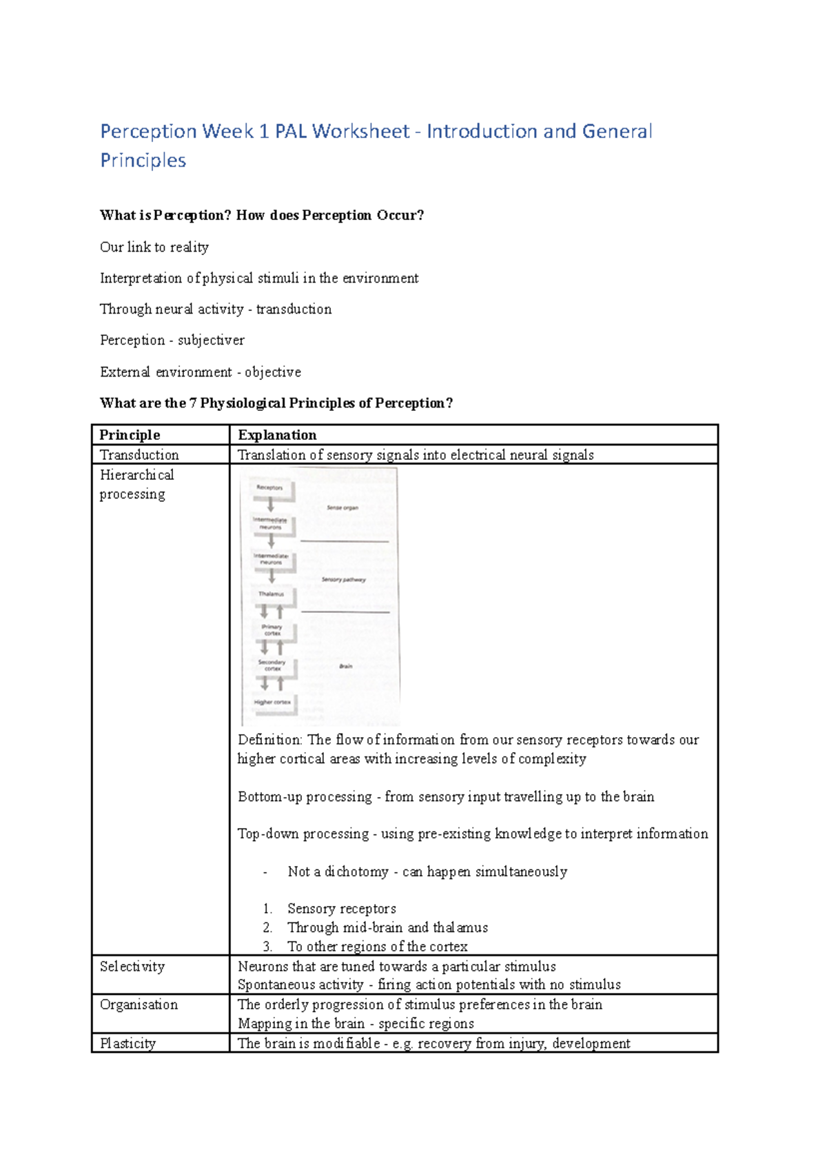 Perception Week 1 PAL Worksheet - Perception Week 1 PAL Worksheet ...