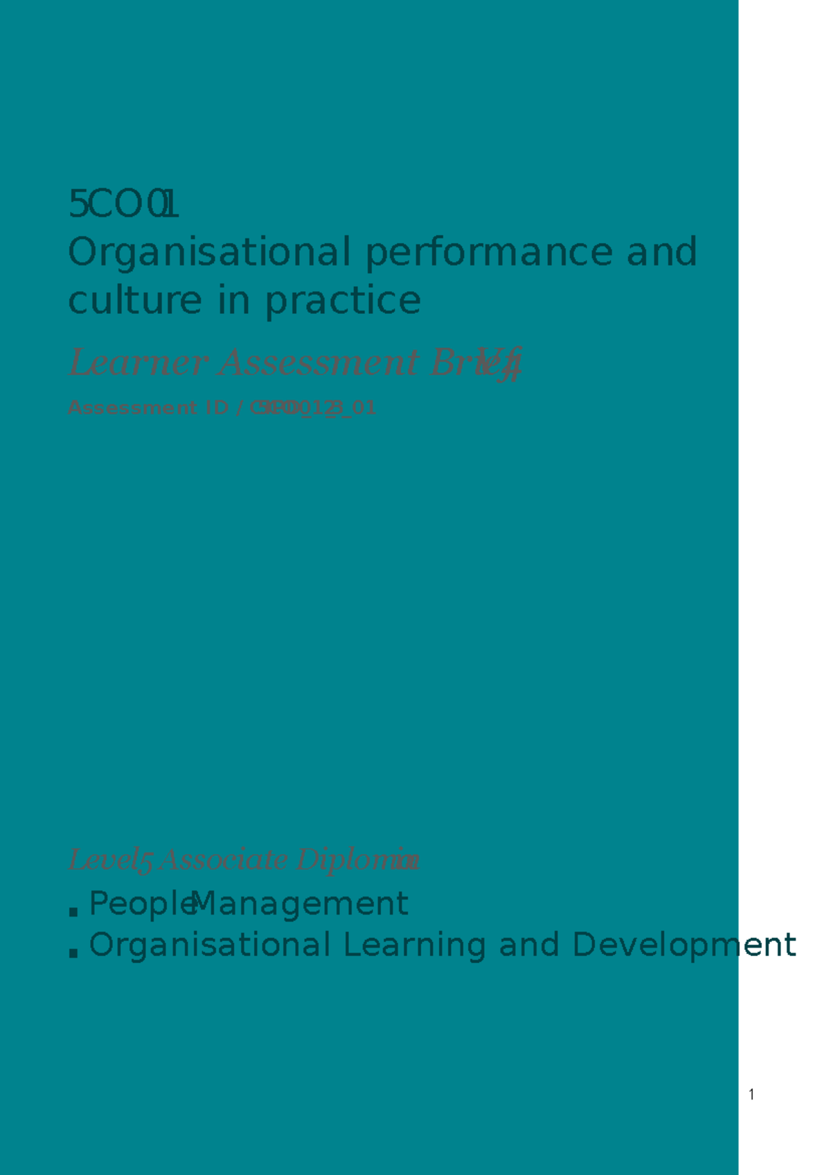 5CO01 Assessment Brief: Exploring Org Performance & Culture in Practice ...