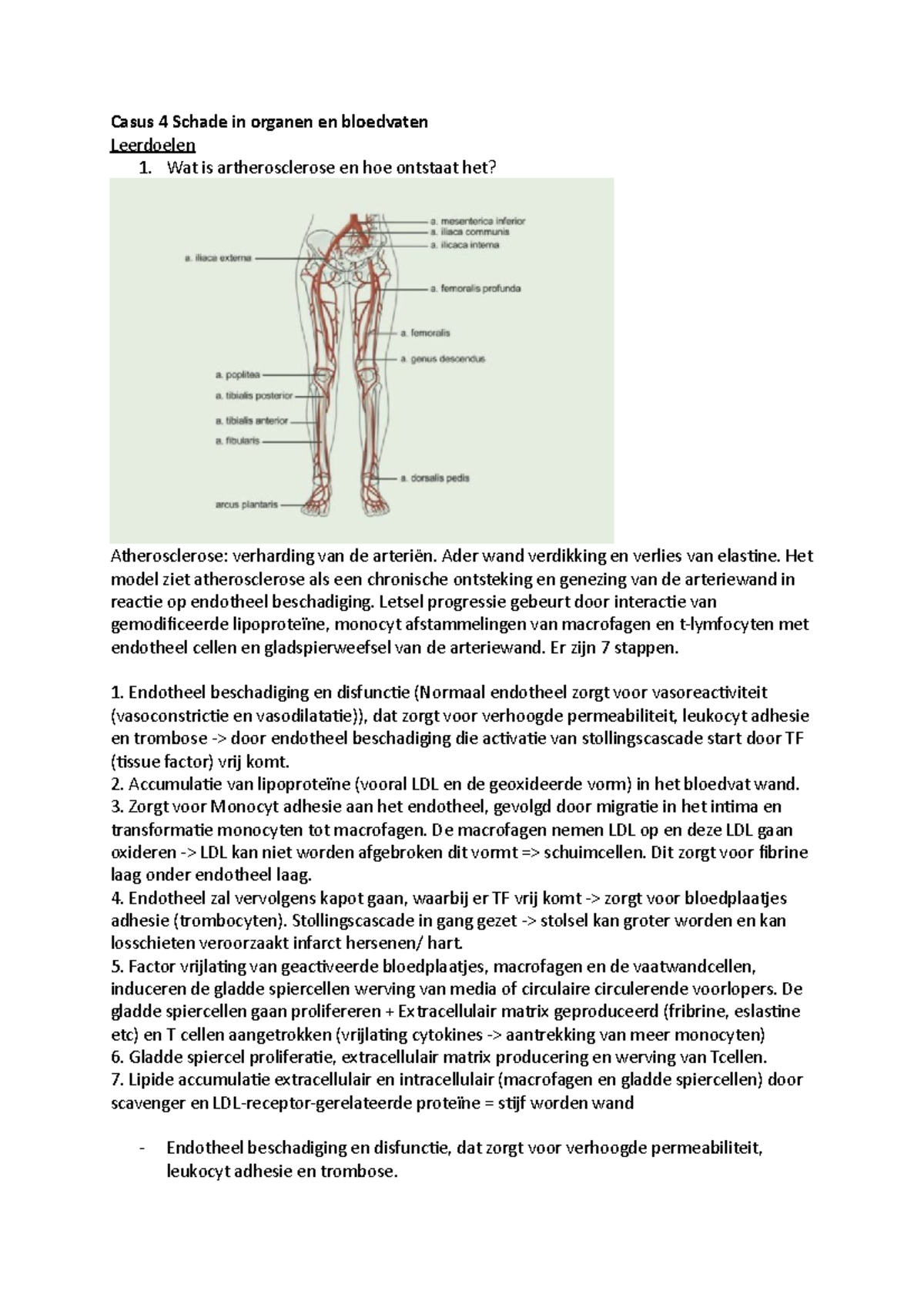 Casus 4: Atherosclerose en Endotheel Functiestoornis in Bloedvaten ...