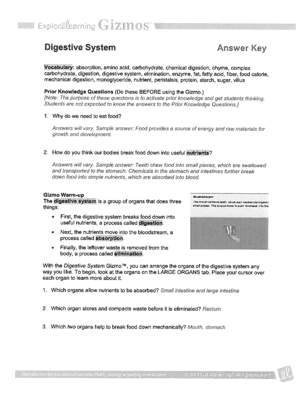Digestive system gizmo answers - Explorelearning Gizmos Digestive ...