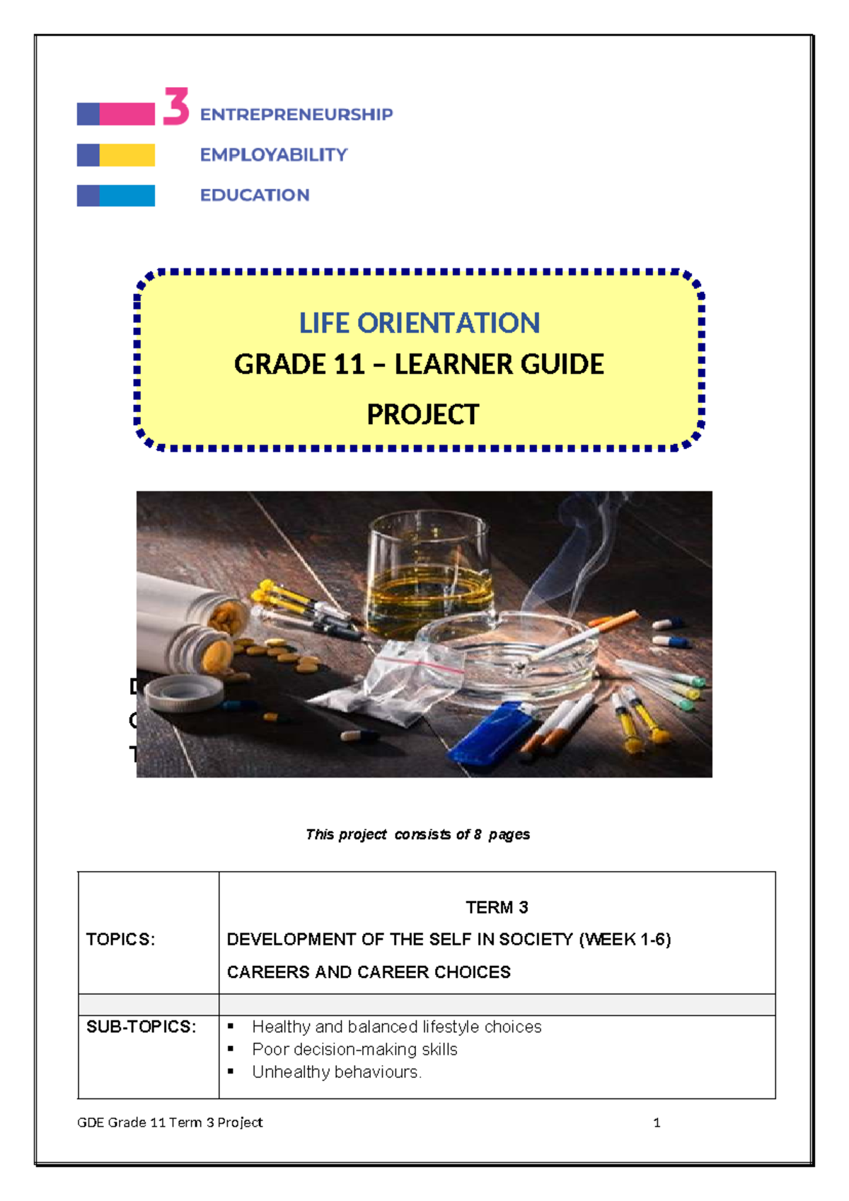 GDE Grade 11 Term 3 Project: Youth Risk Behaviors & Career Choices ...