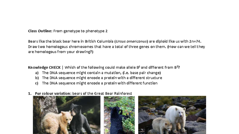 121-25 L05 Genotype to Phenotype 2: Black Bear Fur Color Variation ...