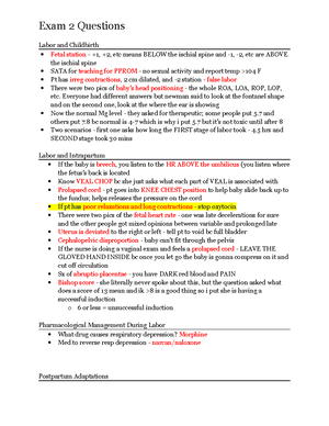 OB Study Guide Exam 3 - Labor and Birth Processes, Labor and Birth ...