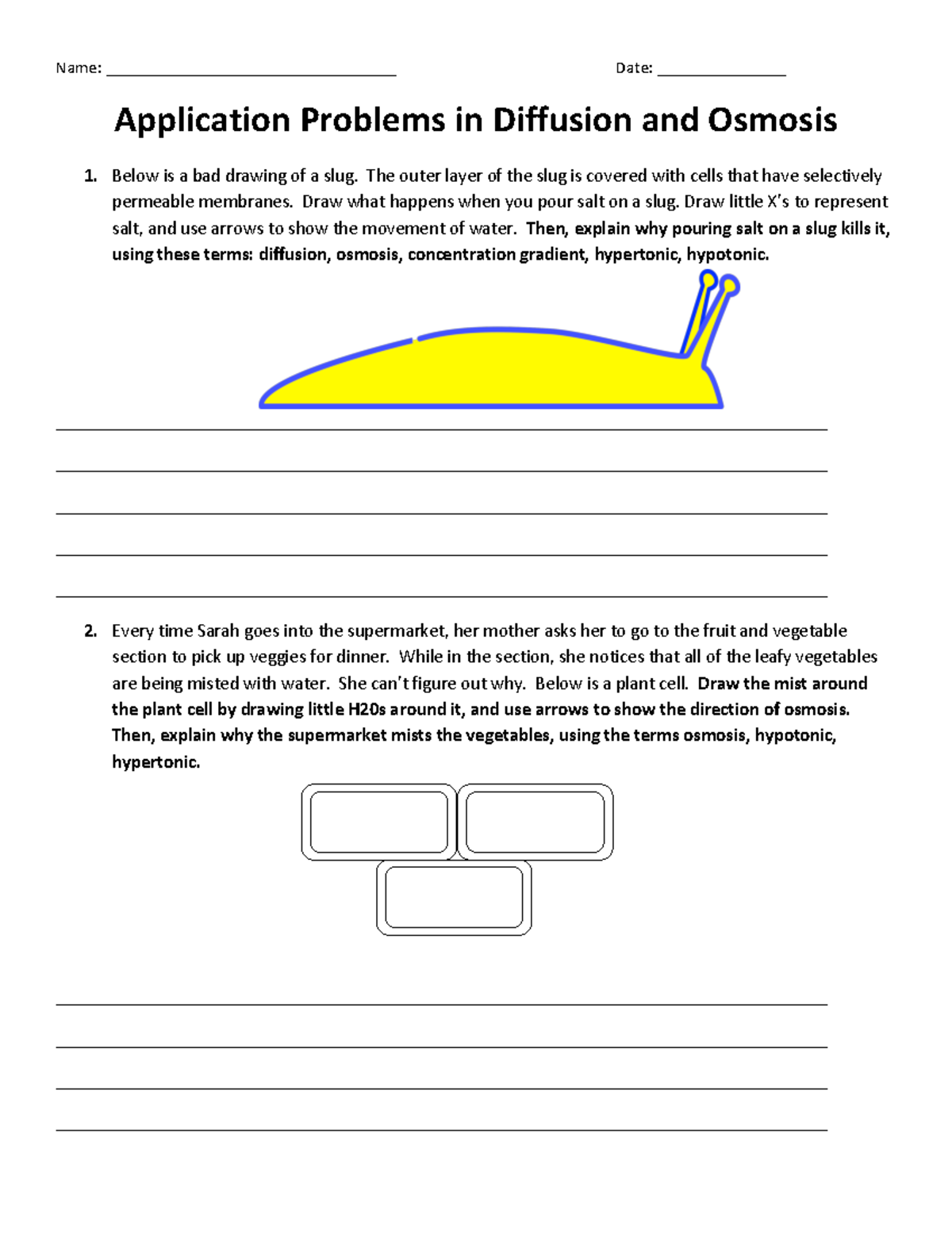 Diffusion & Osmosis Worksheet: Application Problems & Concepts ...