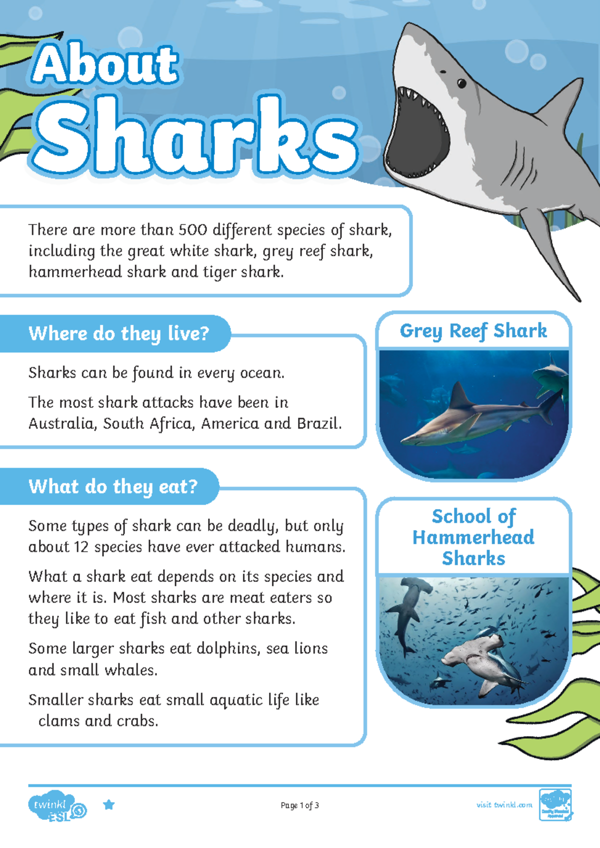 Reading Comprehension: All About Sharks for ESL Learners - Studocu